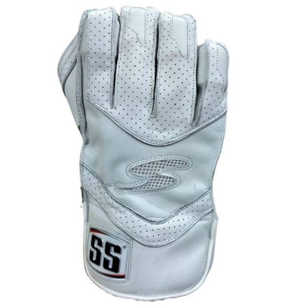 SS Reserve Edition Cricket Wicket Keeping Gloves - Not Out Collection ...